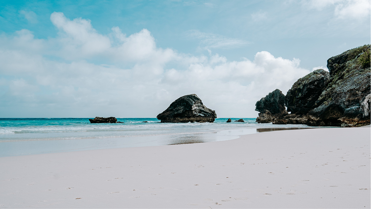 Hear from our employees – Compre Group